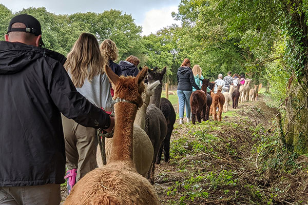 Rose Cottage Devon - North Devon Adventure Coast